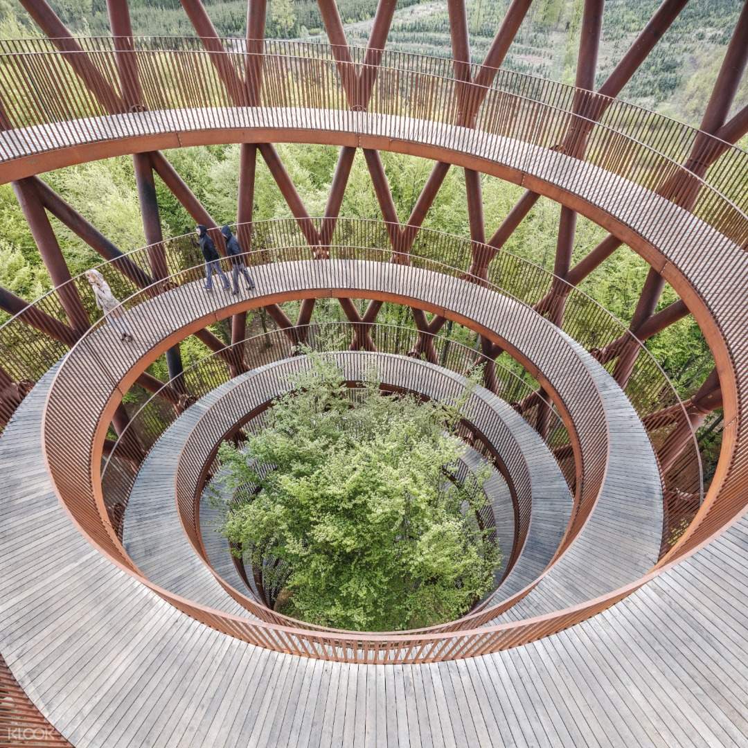 Camp Adventure Forest Tower Admission Ticket - Klook Canada